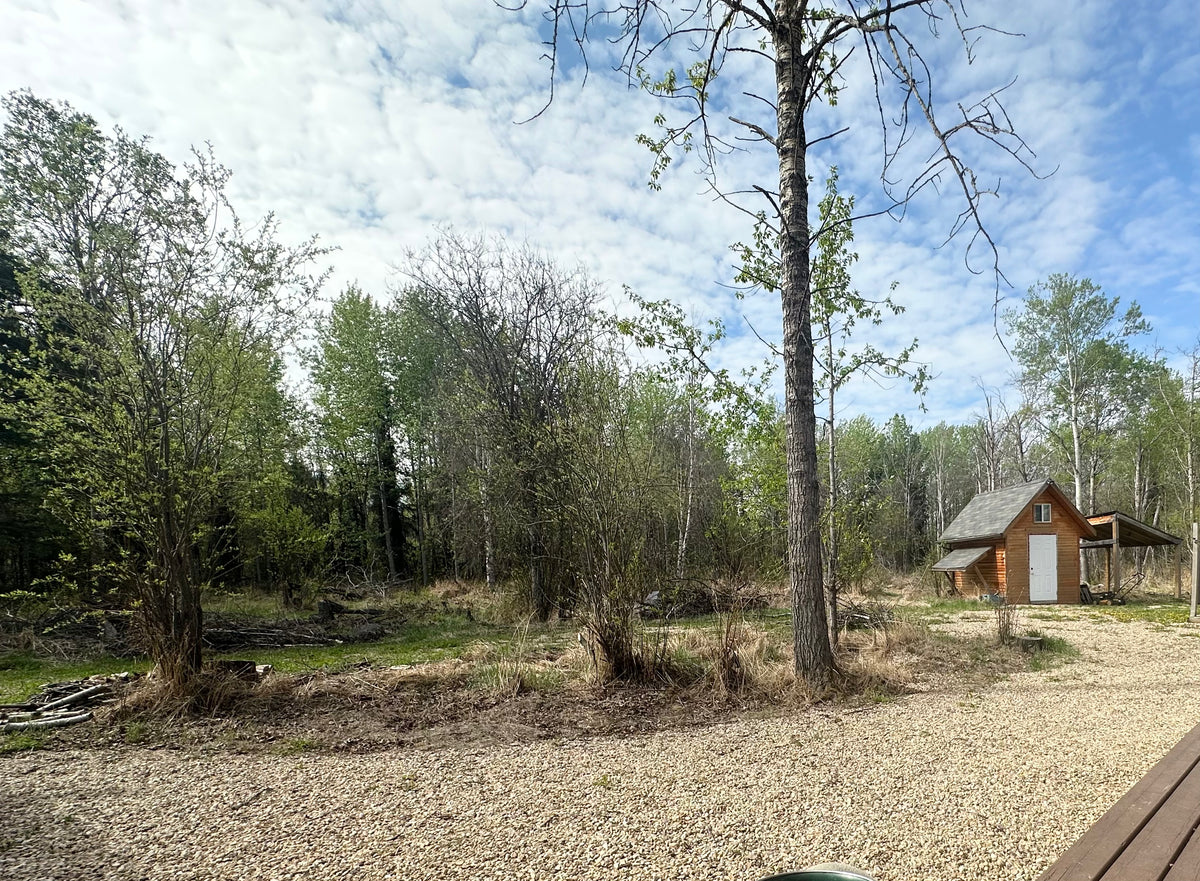 Hide Land - Support Indigenous Sovereignty – JShineDesigns